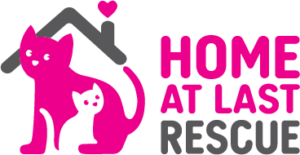 Homepage | Home At Last Rescue